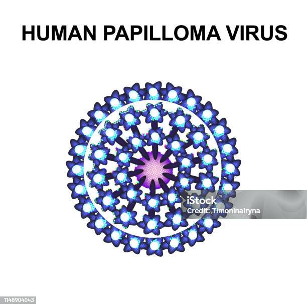 Virus Papiloma Manusia Struktur Virus Popilloma Infografis Ilustrasi ... Virus Papiloma Manusia Struktur Virus Popilloma Infografis Ilustrasi ...