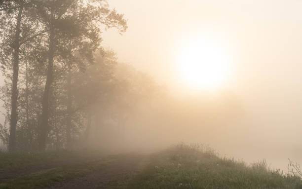 30k+ Foggy Weather Pictures | Download Free Images on Unsplash