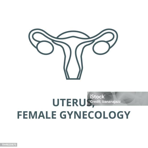 Uterus Ikon Garis Vektor Ginekologi Wanita Konsep Linier Tanda Garis