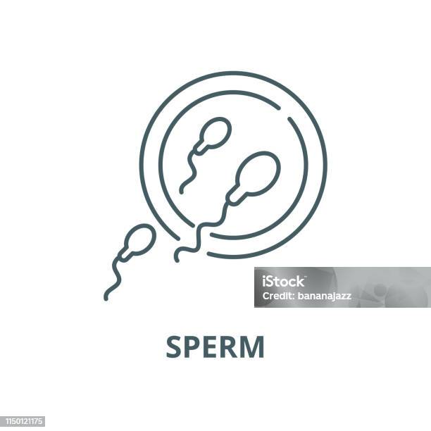 Ikon Garis Vektor Sperma Konsep Linear Tanda Kerangka Simbol Ilustrasi