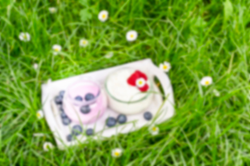 Yogurt Dan Blueberry Dan Raspberry Di Kebun Di Rumput Muda Hijau