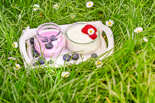 Yogurt Dan Blueberry Dan Raspberry Di Kebun Di Rumput Muda Hijau