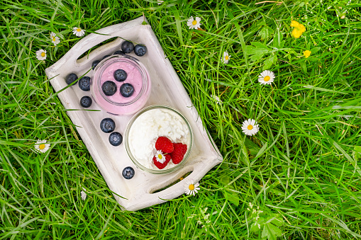 Yogurt Dan Blueberry Dan Raspberry Di Kebun Di Rumput Muda Hijau