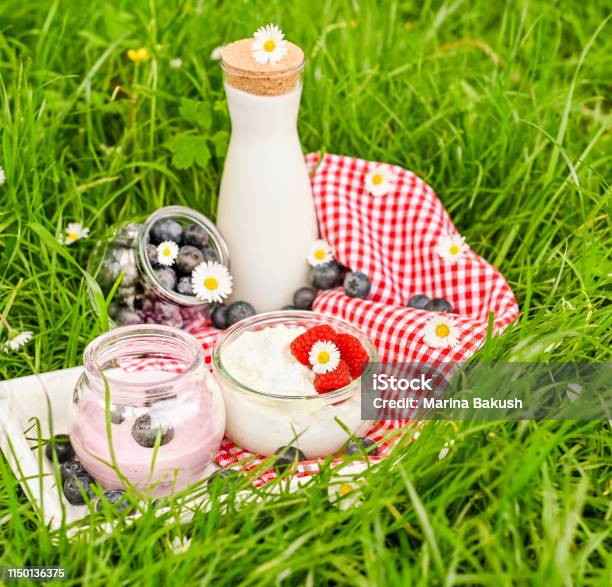 Sebotol Susu Dan Yogurt Di Rumput Hijau Produk Susu Pertanian Salin