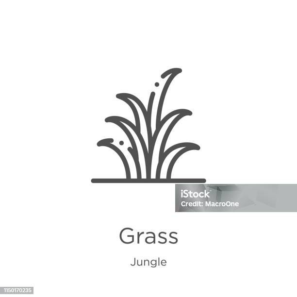 Vecteur Dicône Dherbe De Collection De Jungle Fine Ligne Herbe Contour