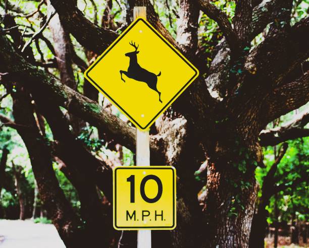 deer-crossing-sign Premium Photos, Pictures and Images by Istock