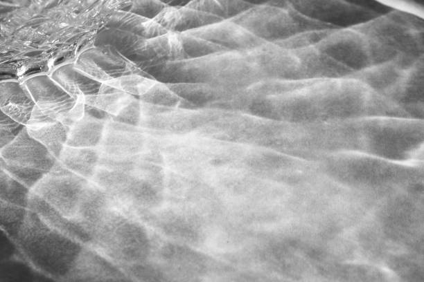 Glass Shadow Pictures | Download Free Images on Unsplash