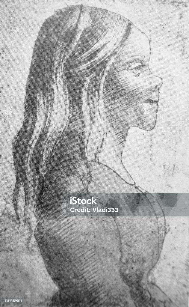 The Caricature Of Girl By Leonardo Da Vinci Stock Illustration