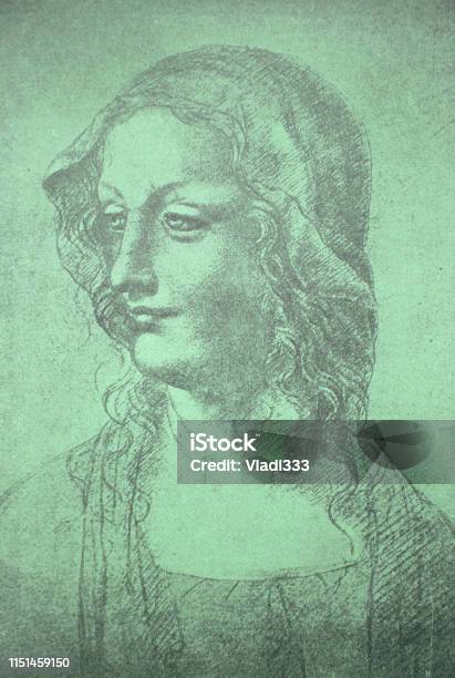 The Sketch Of Young Woman By Leonardo Da Vinci Stock Illustration