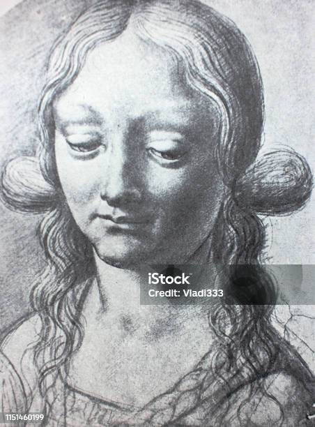 The Portrait Of The Young Woman By Leonardo Da Vinci Stock Illustration