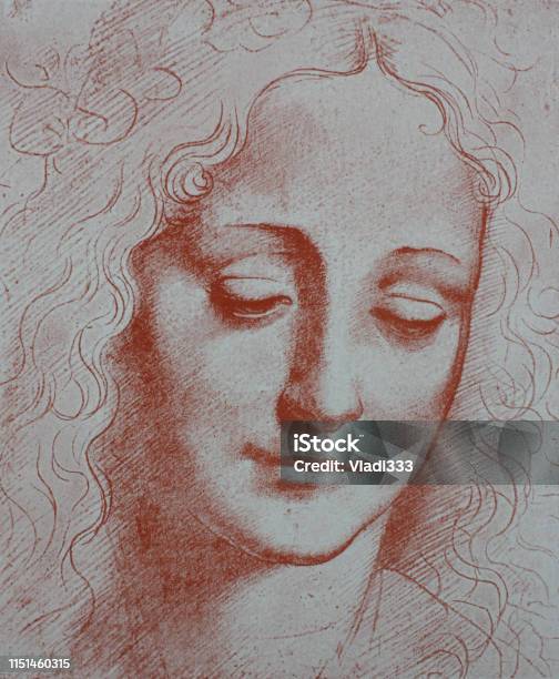 The Portrait Of The Young Woman By Leonardo Da Vinci Stock Illustration