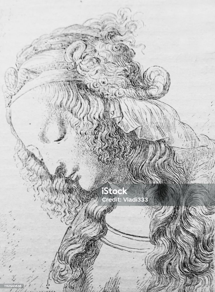 The Head Of The Woman By Leonardo Da Vinci Stock Illustration