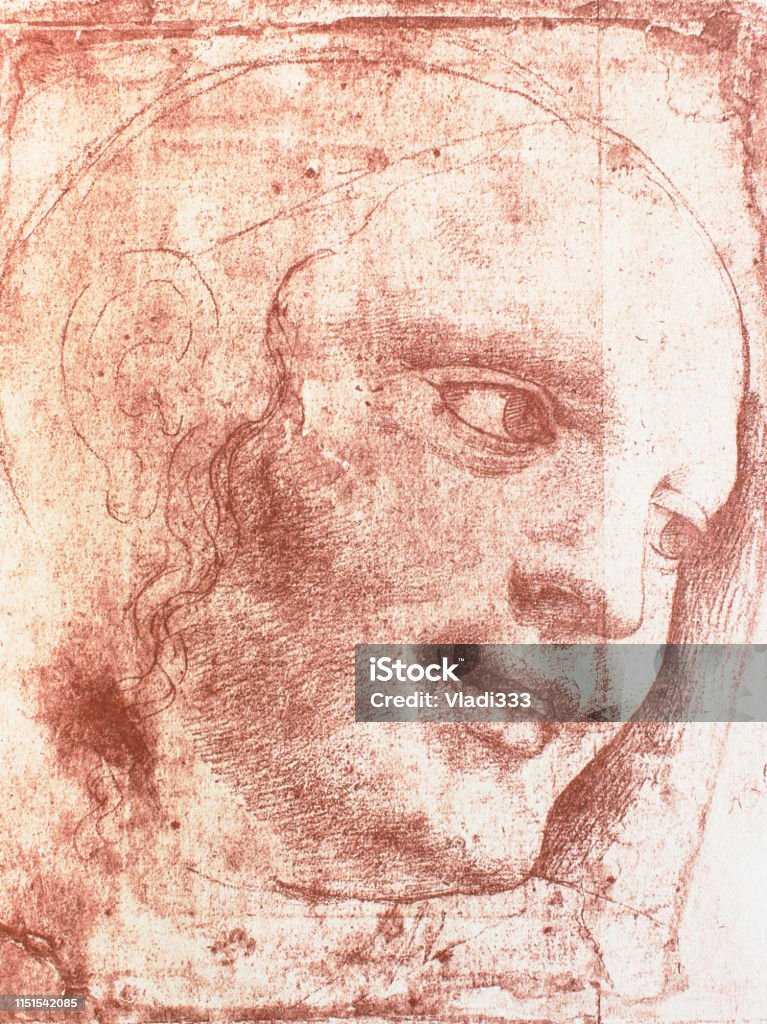 Head Of The Woman By Leonardo Da Vinci Stock Illustration Download
