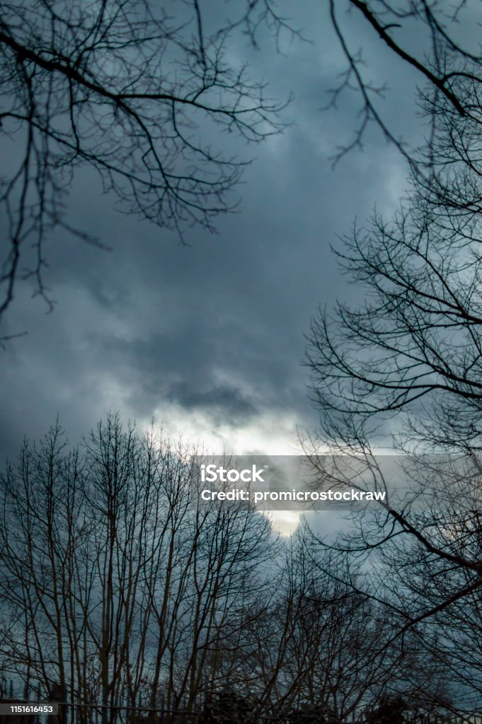 Langit London Dengan Pepohonan Gelap Dan Awan Dengan Terlalu Banyak Cabang Foto Stok Unduh