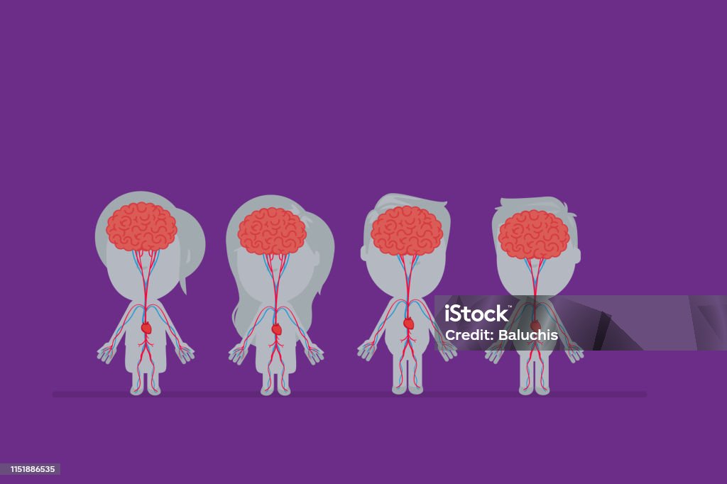 Human Body Anatomy Vector Illustration Stock Illustration Download Image Now Adult Anatomy