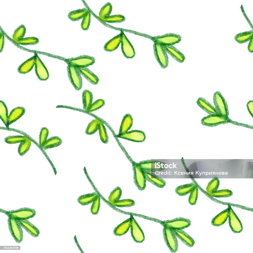 Dessin De Feuilles Dherbe Jaune Vert Croquis Graphique Motif Papier