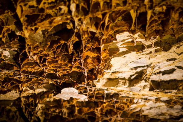 380 Parc National De Wind Cave Photos Photos Taleaux Et Images Libre