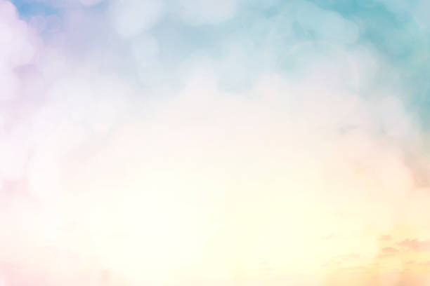 1000+ Soft Background Pictures | Download Free Images on Unsplash