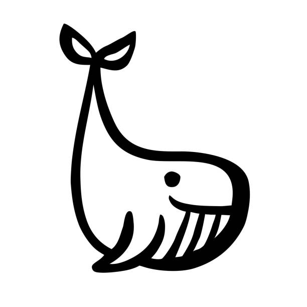 30 Dolphin Blowhole Stock Illustrations Royalty Free Vector Graphics