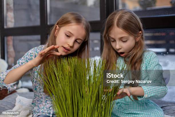 Gambar Dua Adik Kecil Lucu Duduk Di Ambang Jendela Bermain Dengan ... Gambar Dua Adik Kecil Lucu Duduk Di Ambang Jendela Bermain Dengan ...