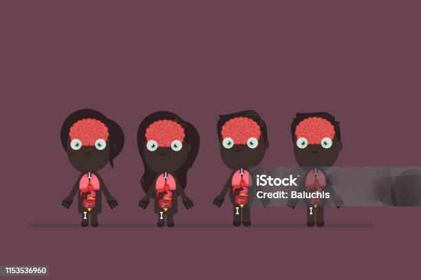 Human Body Anatomy Vector Illustration Stock Illustration Download