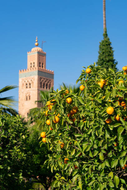 Koutoubia Camii Stok Fotoğraf, Resimler ve Görseller - iStock Koutoubia Camii Stok Fotoğraf, Resimler ve Görseller - iStock