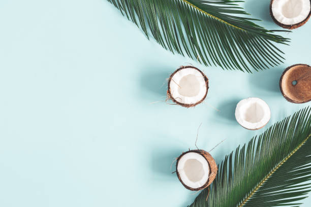 Coconut Background Pictures | Download Free Images on Unsplash
