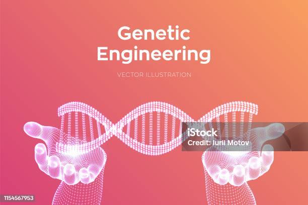 Séquence Dadn Dans Les Mains Maille De Structure De Molécules Dadn De