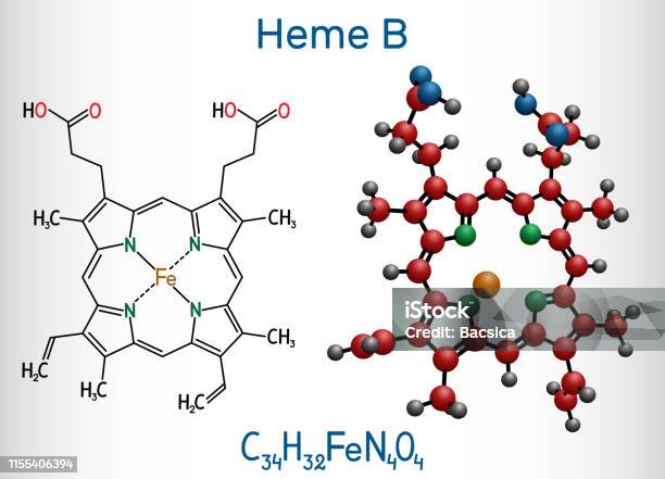 Vetores De Heme B Haem B Molécula De Protoheme Ix É Componente Das