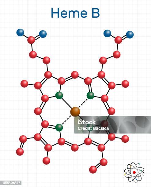 Vetores De Heme B Haem B Molécula De Protoheme Ix É Componente Das