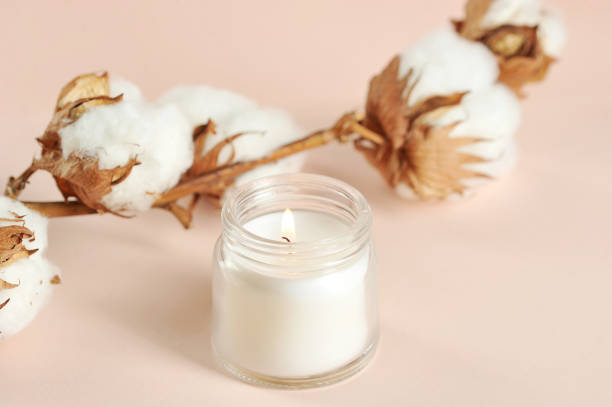 Candle Jar Pictures | Download Free Images on Unsplash