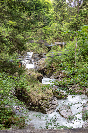 Los Paisajes Más Bellos De Los Alpes Con Una Población De Árboles Casi