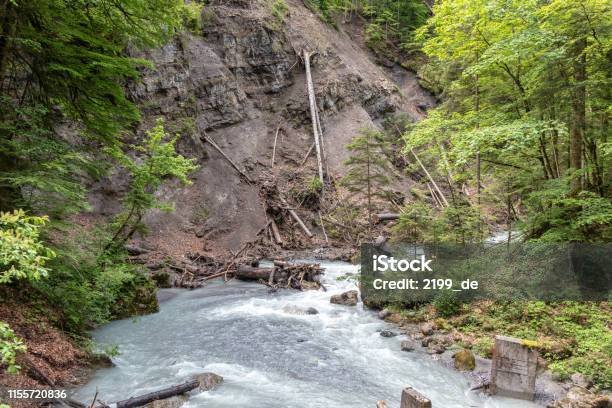 Los Paisajes Más Bellos De Los Alpes Con Una Población De Árboles Casi