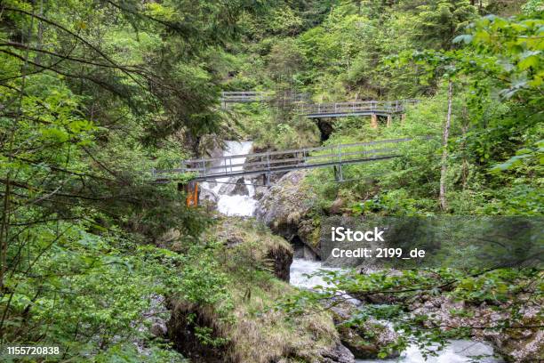 Los Paisajes Más Bellos De Los Alpes Con Una Población De Árboles Casi