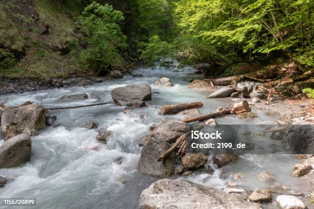 Los Paisajes Más Bellos De Los Alpes Con Una Población De Árboles Casi