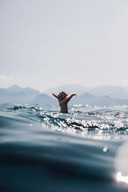 500+ Shaka Pictures | Download Free Images on Unsplash