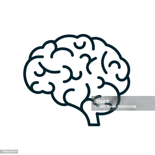 Signe Humain Dicône De Cerveau Pour Le Vecteur De Stock Vecteurs Libres