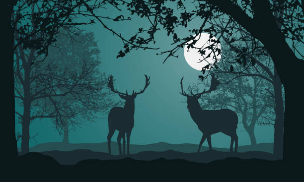 Download Deer, Moon, Animal. Royalty-Free Stock Illustration Image ...