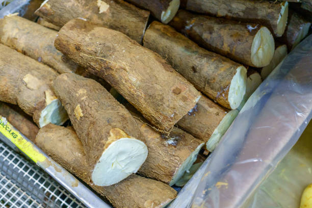Yuca Pictures | Download Free Images on Unsplash