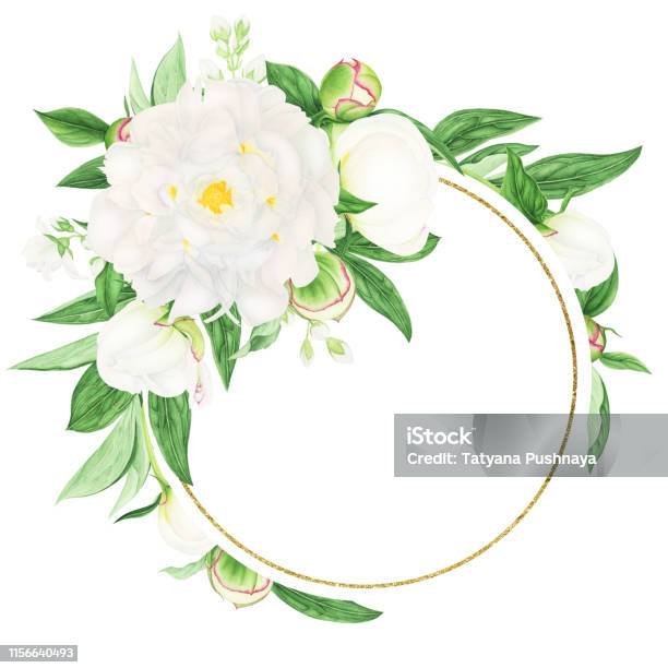 Cadre Avec Pivoines Blanches Et Fleurs De Jasmin Peinture À Laquarelle