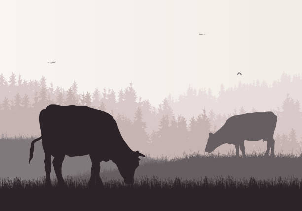Free Stock Photo of FOREST COW | Download Free Images and Free ...