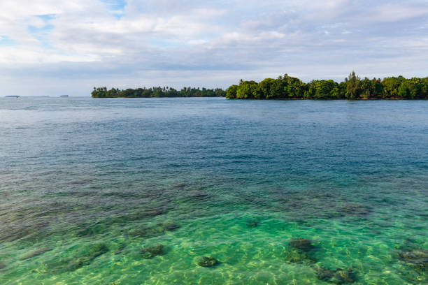 madang Premium Photos, Pictures and Images by Istock