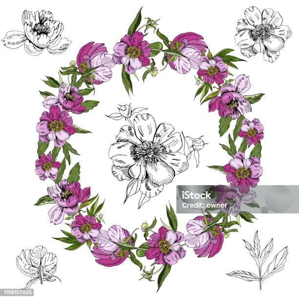 Couronne Avec Des Fleurs Roses De Pivoine Croquis Dencre Dessiné À La