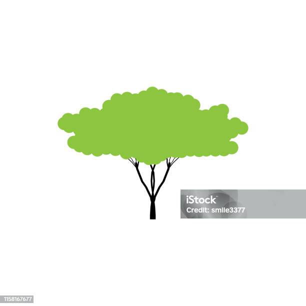Boom Groene Boom In Vlak Ontwerp Boom Vector Icoon Geïsoleerd Op Witte