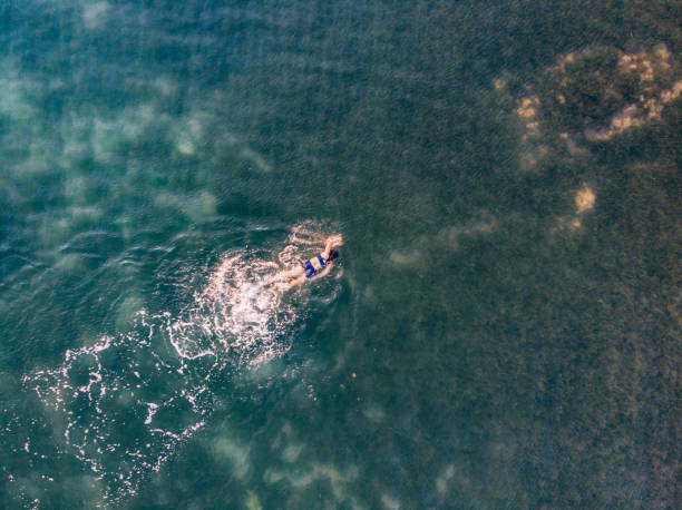 Free Stock Photo of Aerial View of a Vast Water Body | Download Free ...