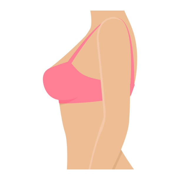 Perfect Young Breasts Illustrations Royalty Free Vector Graphics