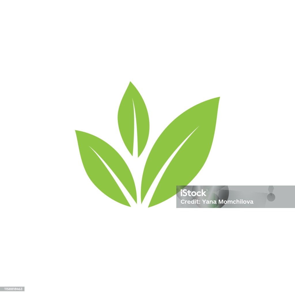 Tree Green Leaf Vector Icon Stock Illustration Download Image Now