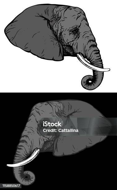 Portrait De Vecteur De Tête De Tête De Profil Déléphant Africain