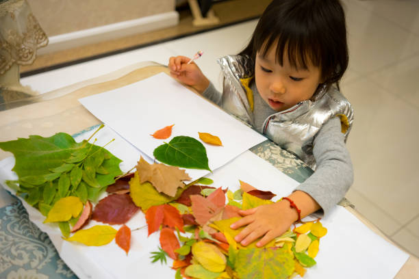 Leaf Drawing Pictures | Download Free Images on Unsplash