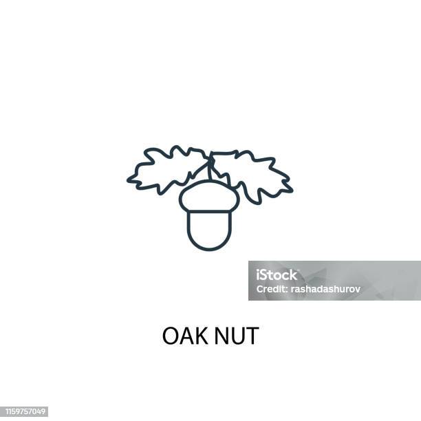 Eiche Nuss Konzept Linie Symbol Einfache Elementillustration Eiche Nuss ... Eiche Nuss Konzept Linie Symbol Einfache Elementillustration Eiche Nuss ...